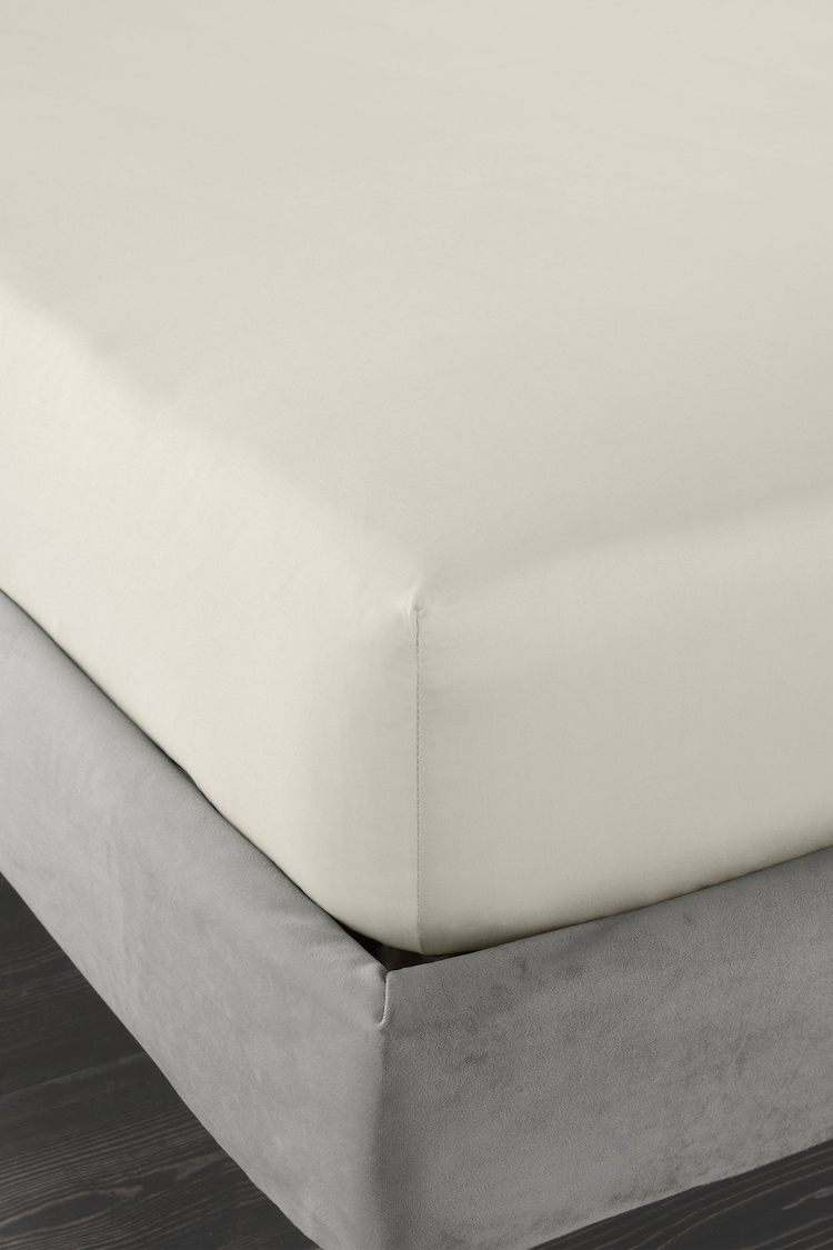 Buy Bianca Oyster 400 Thread Count 100% Cotton Sateen Fitted Sheet from ...