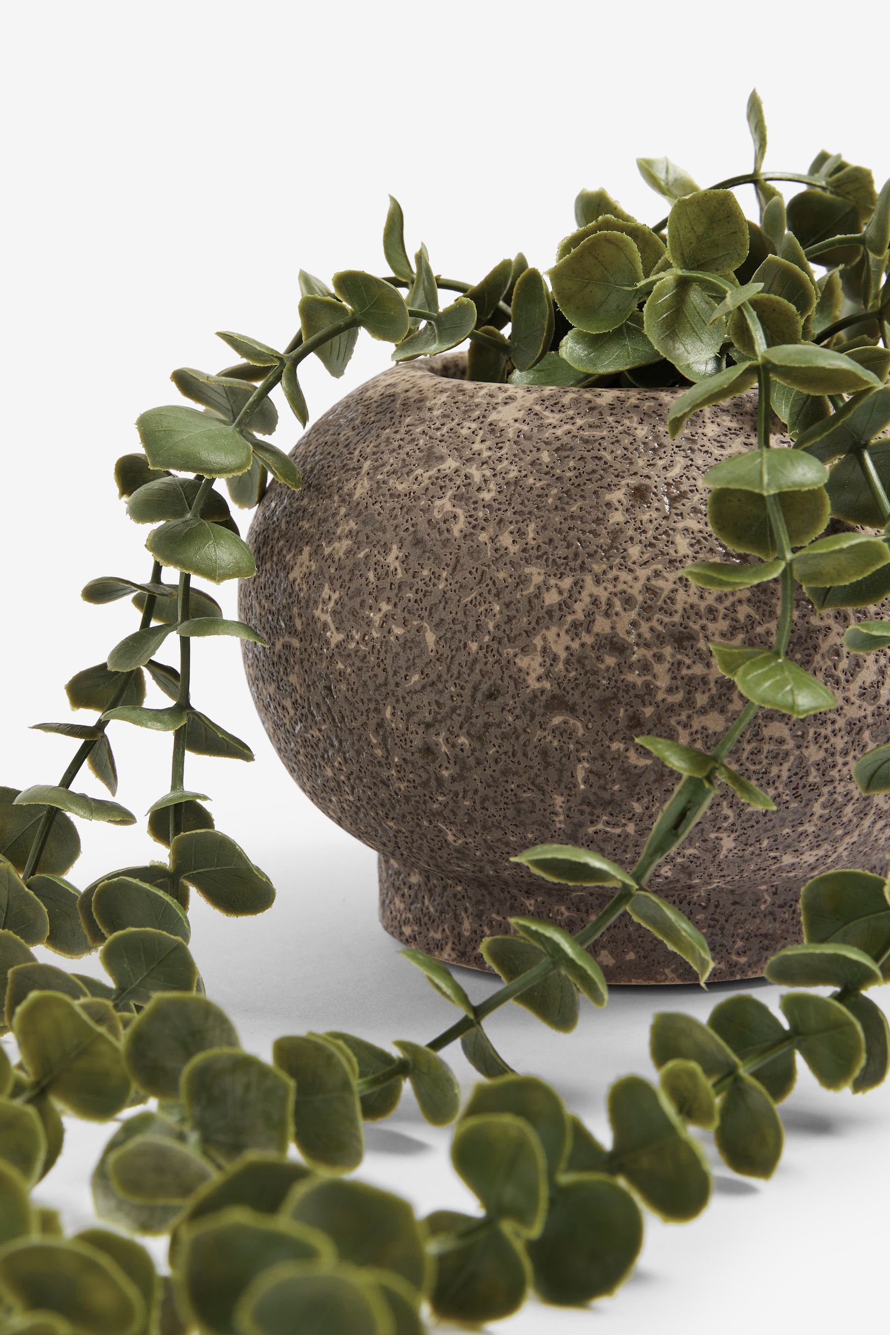 Buy Green Artificial Trailing Plant from the Next UK online shop