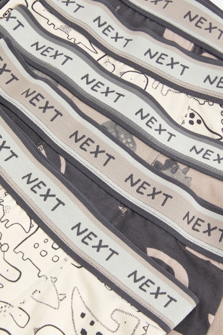 Buy Monochrome Dino Print Mini Bright Trunks 5 Pack (1.5-12yrs) from ...