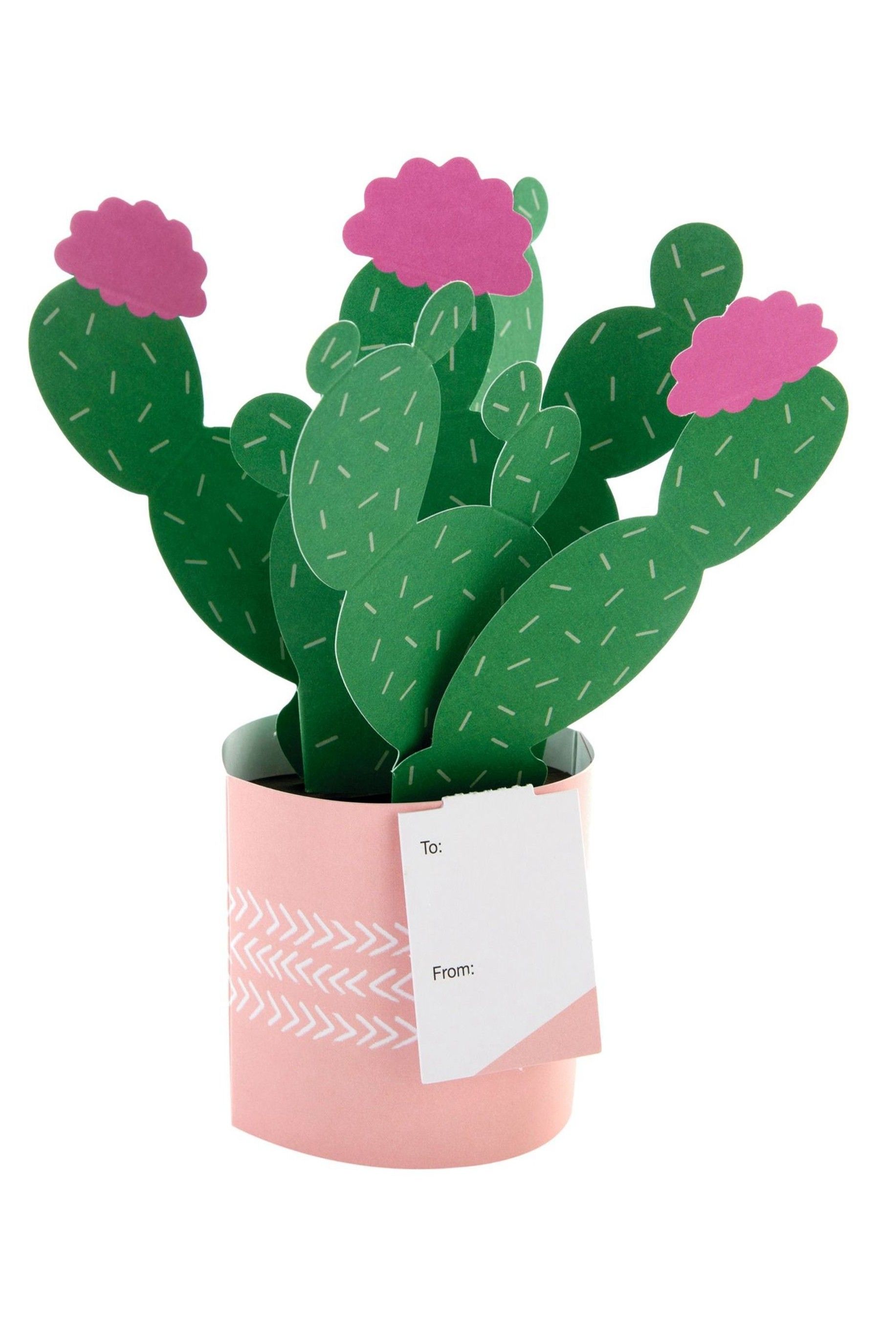 Buy Hallmark Green Just To Say Card 3D Pop Up Cactus from the Next UK ...