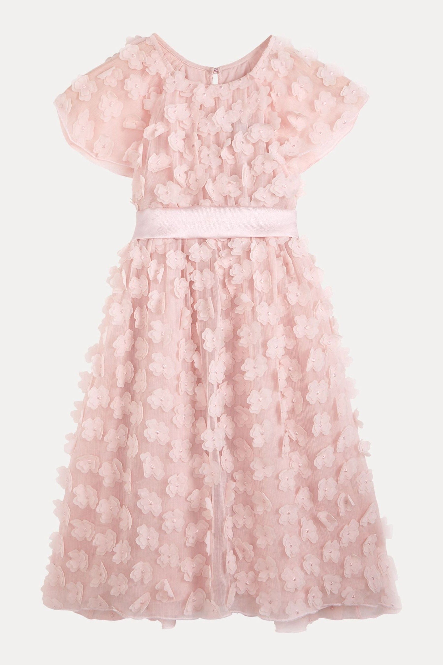 Buy Phase Eight Pink Alice Flower Fit and Flare Dress from the Next UK ...