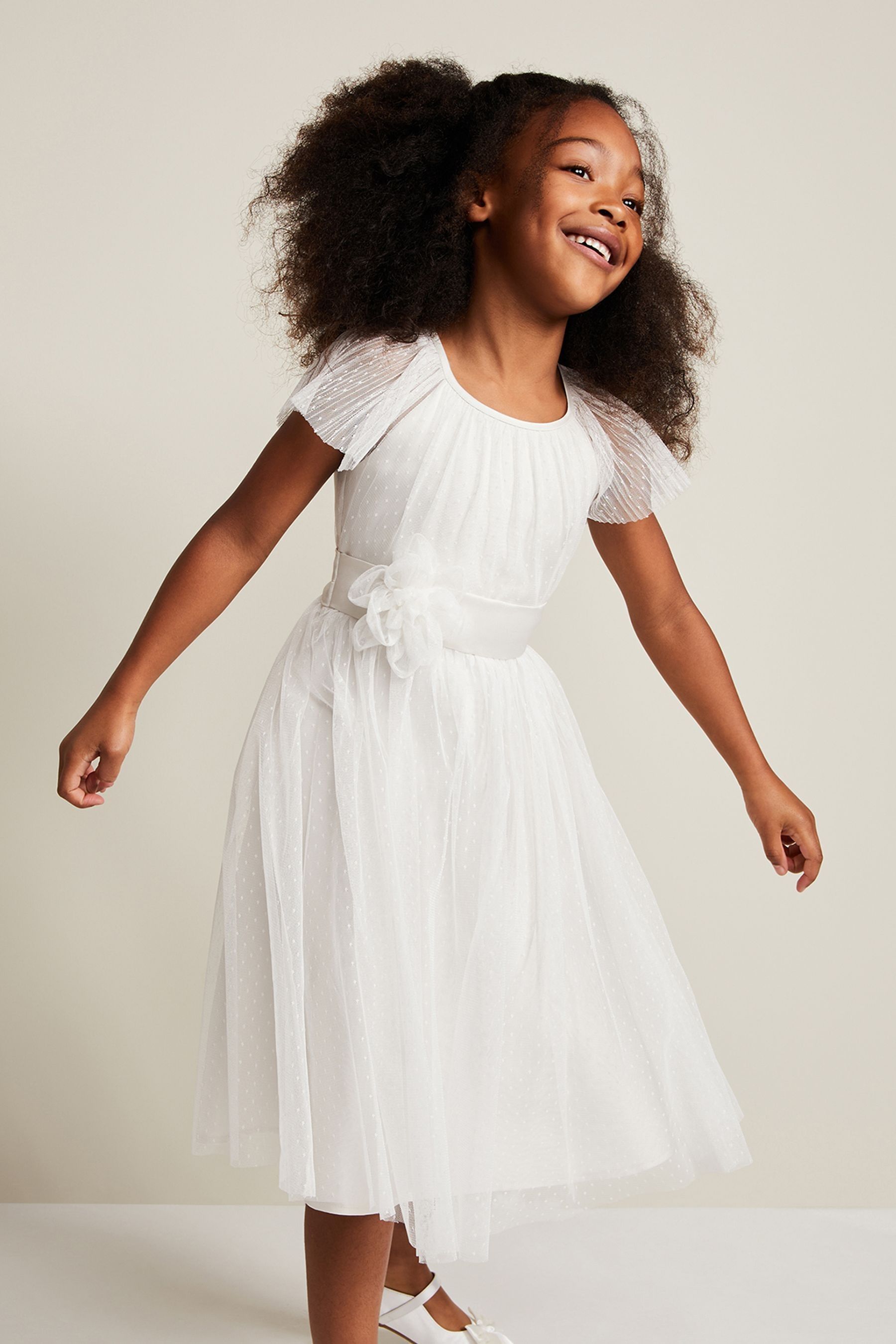 Buy Phase Eight White Jasmine Tulle Fit and Flare Dress from the Next ...