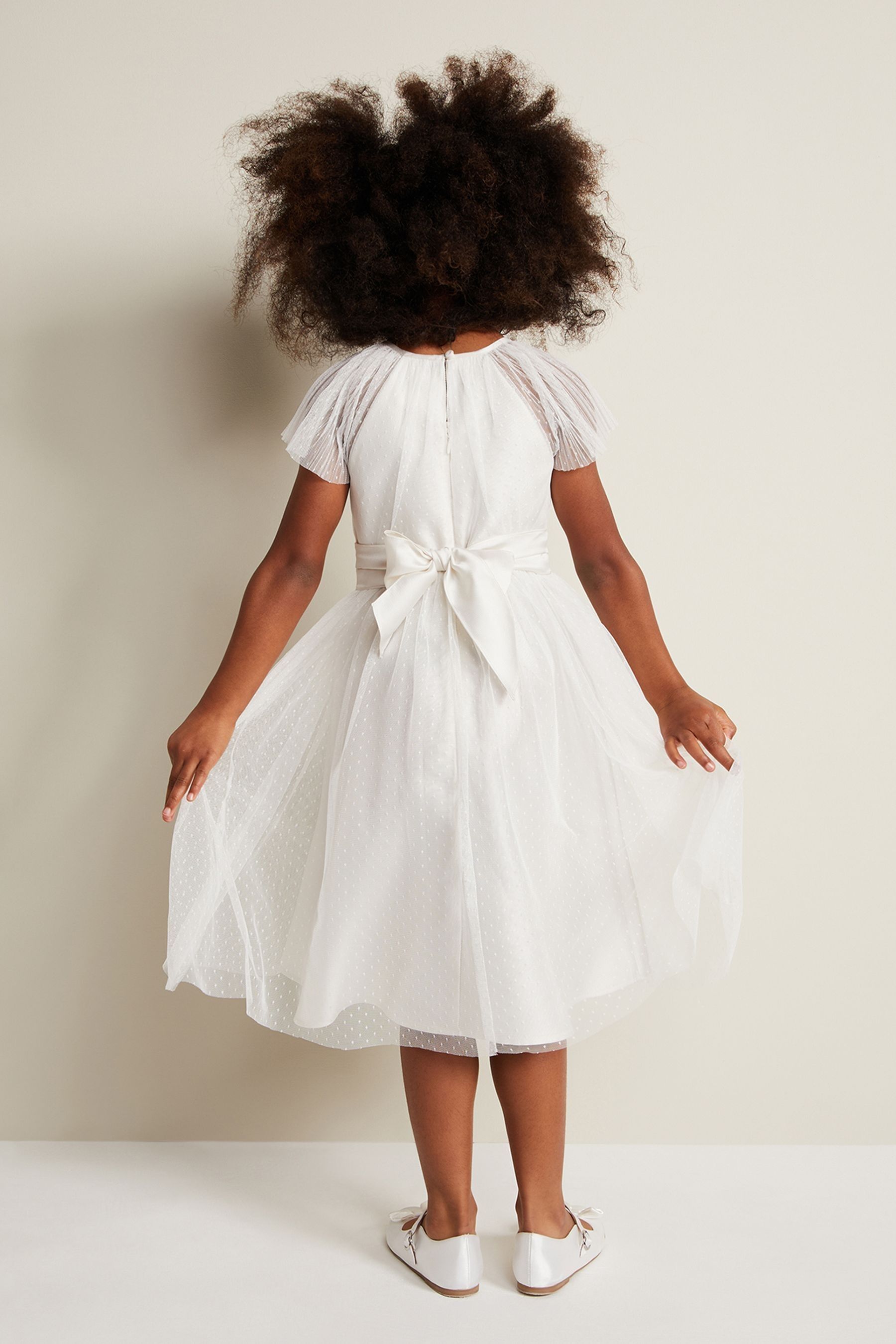 Buy Phase Eight White Jasmine Tulle Fit and Flare Dress from the Next ...
