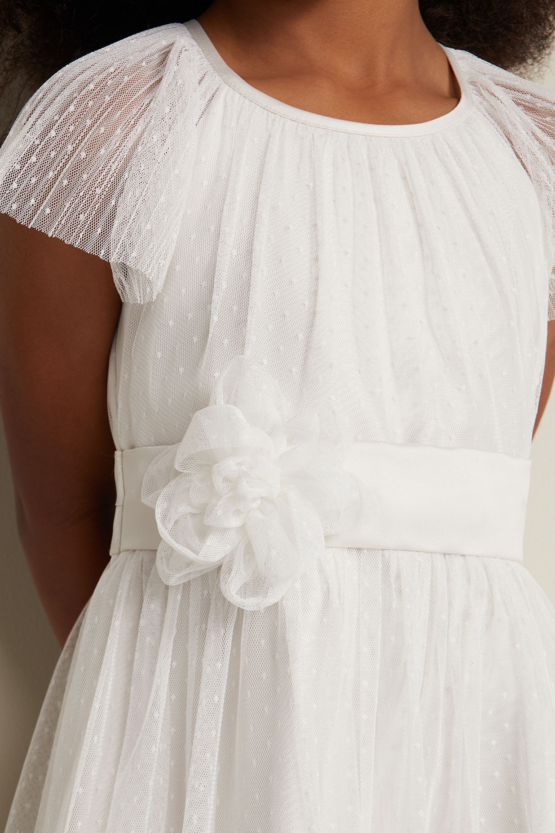 Buy Phase Eight White Jasmine Tulle Fit and Flare Dress from the Next ...