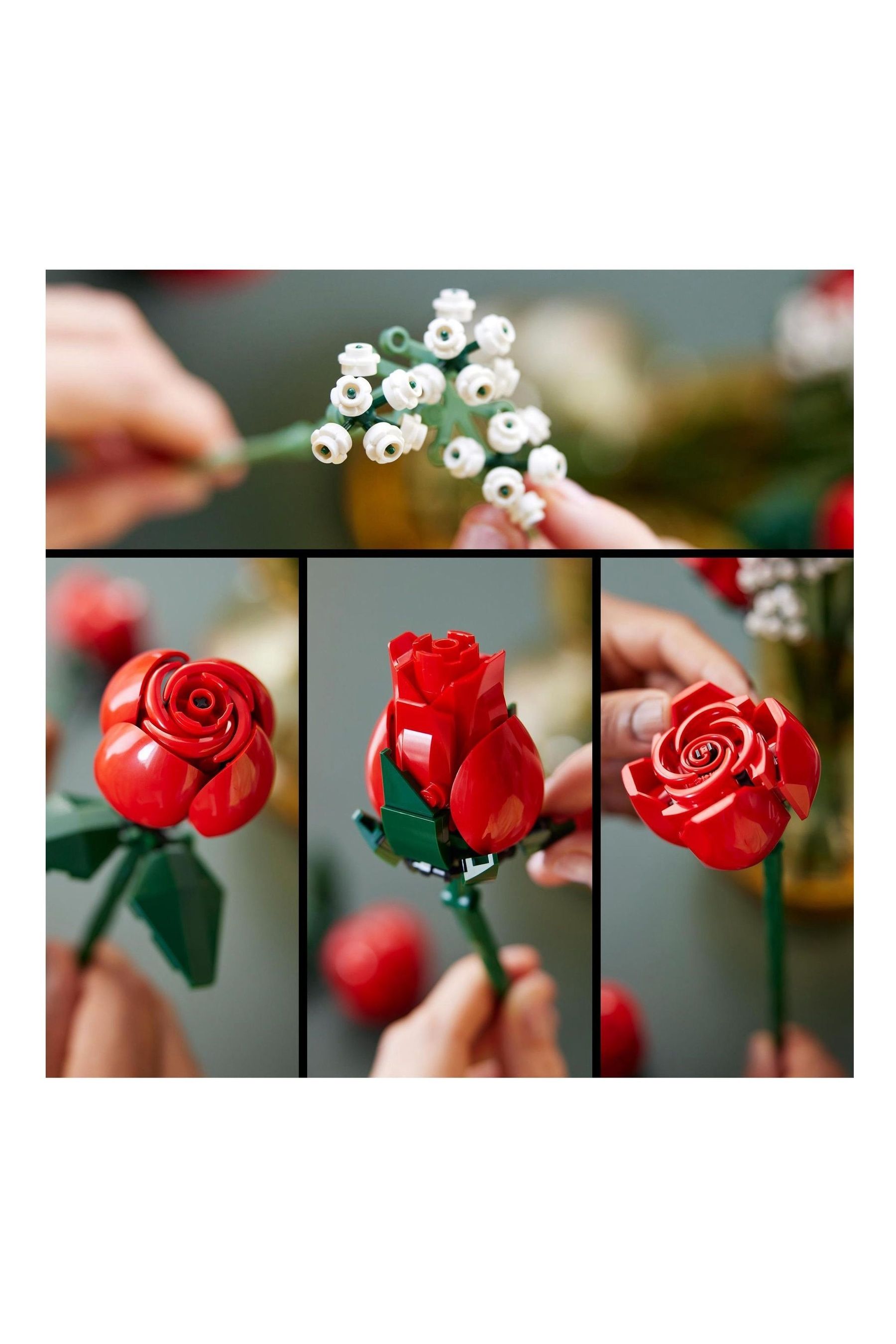 Buy Lego Icons Bouquet of Roses Flowers Set for Adults 10328 from the ...