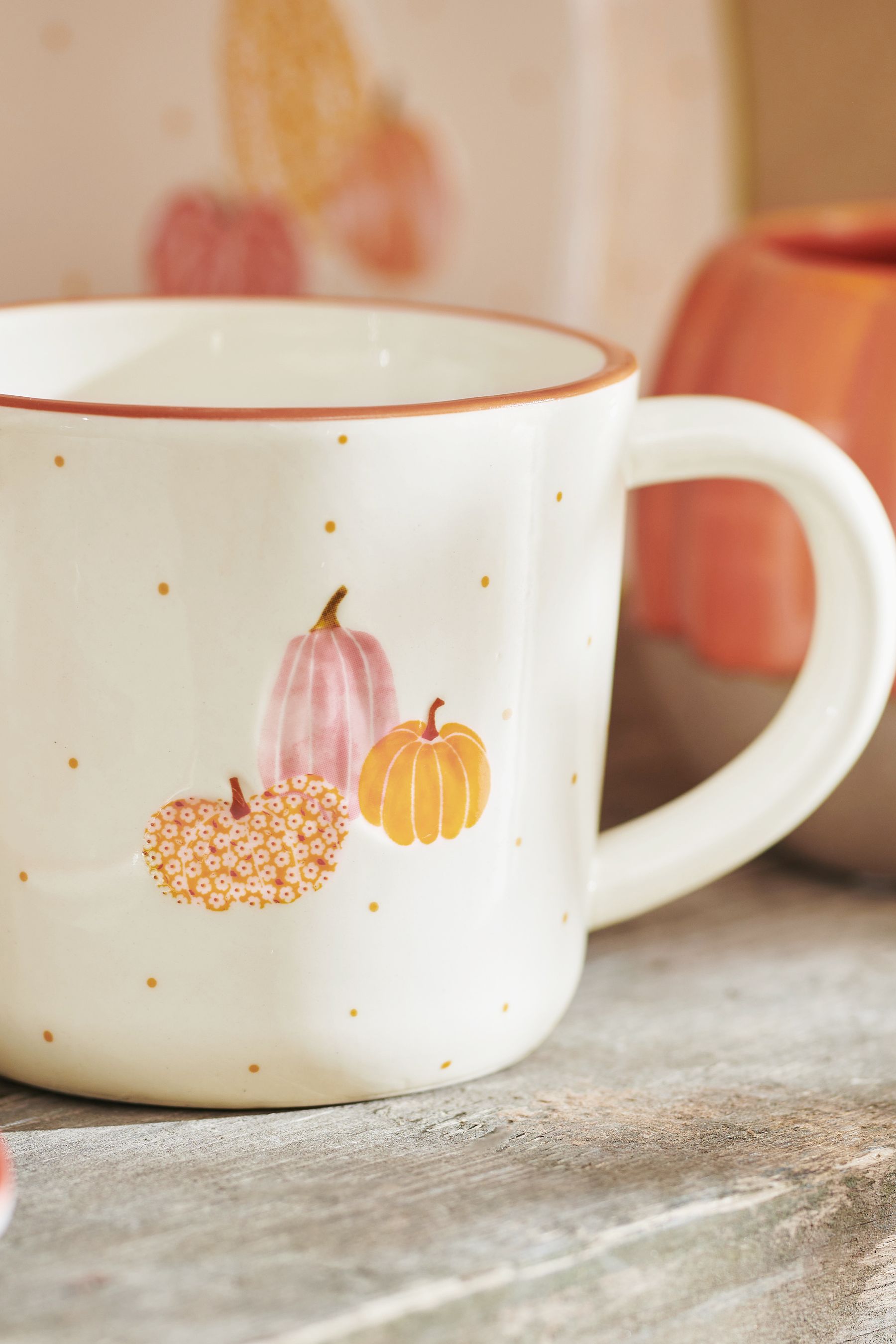 Buy White Pumpkin Mug from the Next UK online shop
