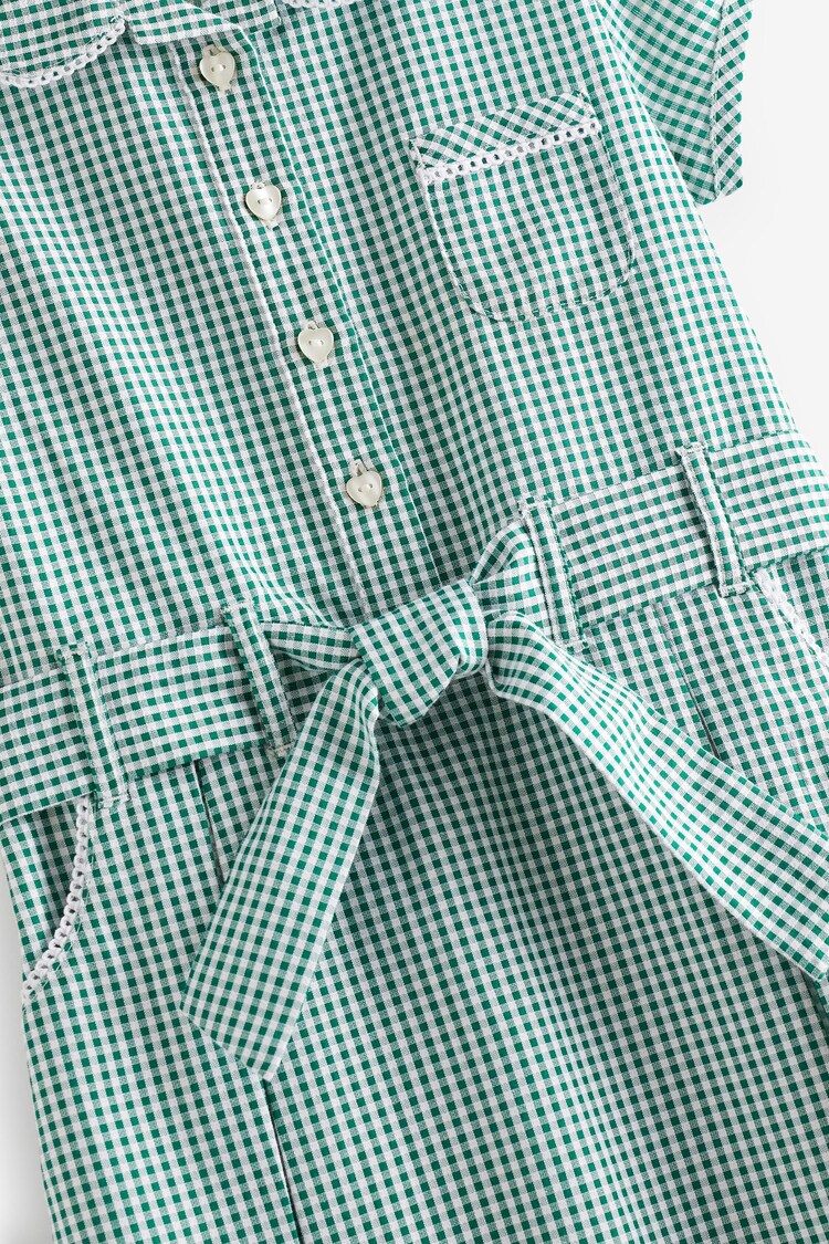 Buy Green Gingham Cotton Rich Belted School Dress With Scrunchie (3 ...