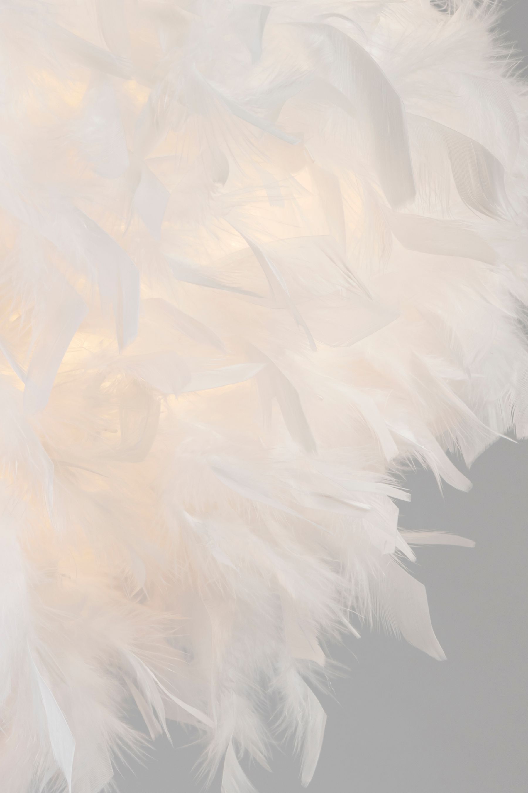 Buy glow White Feather 50cm Shade from the Next UK online shop