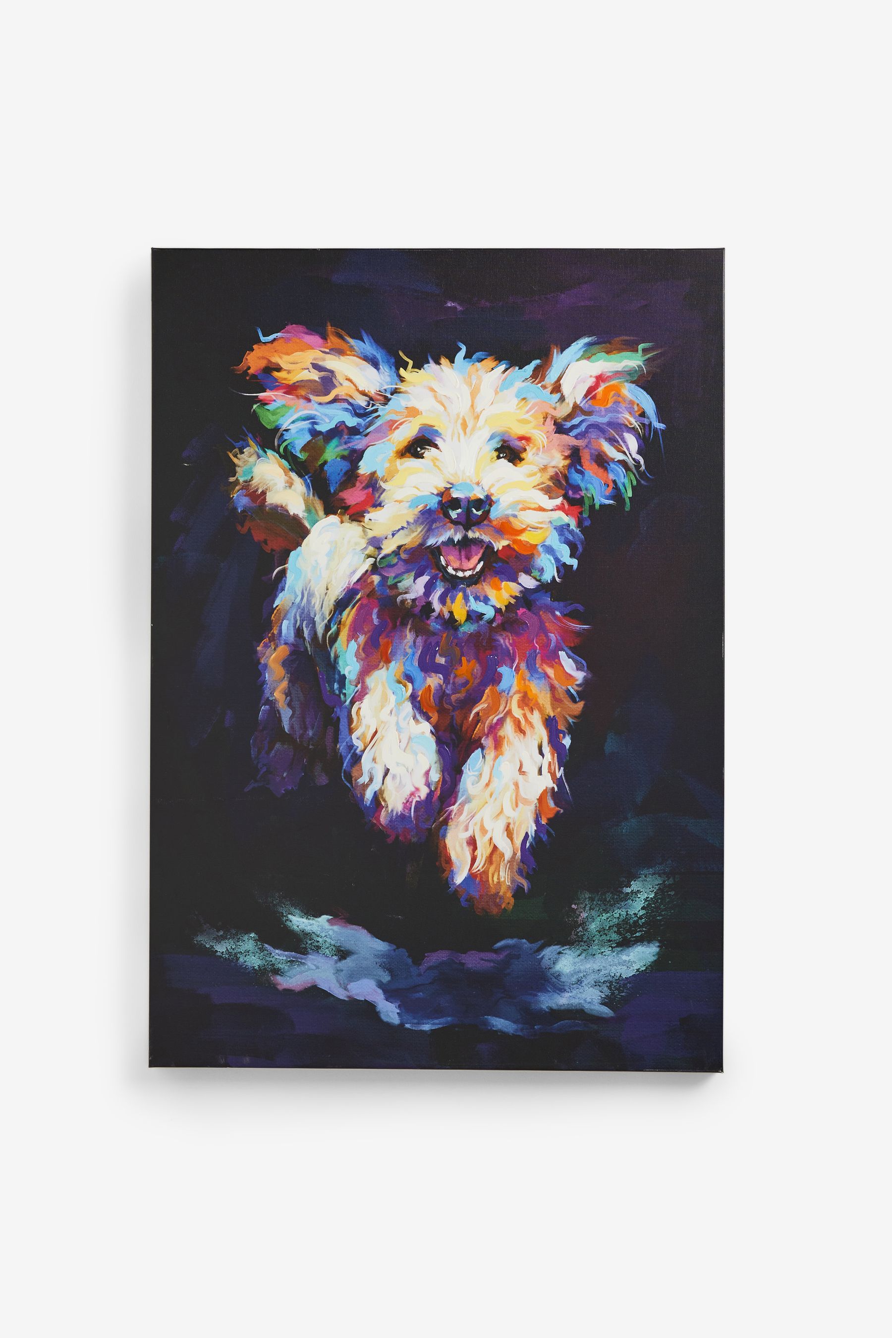 Buy Navy Small Charlie Cockapoo Dog Canvas Wall Art from the Next UK ...