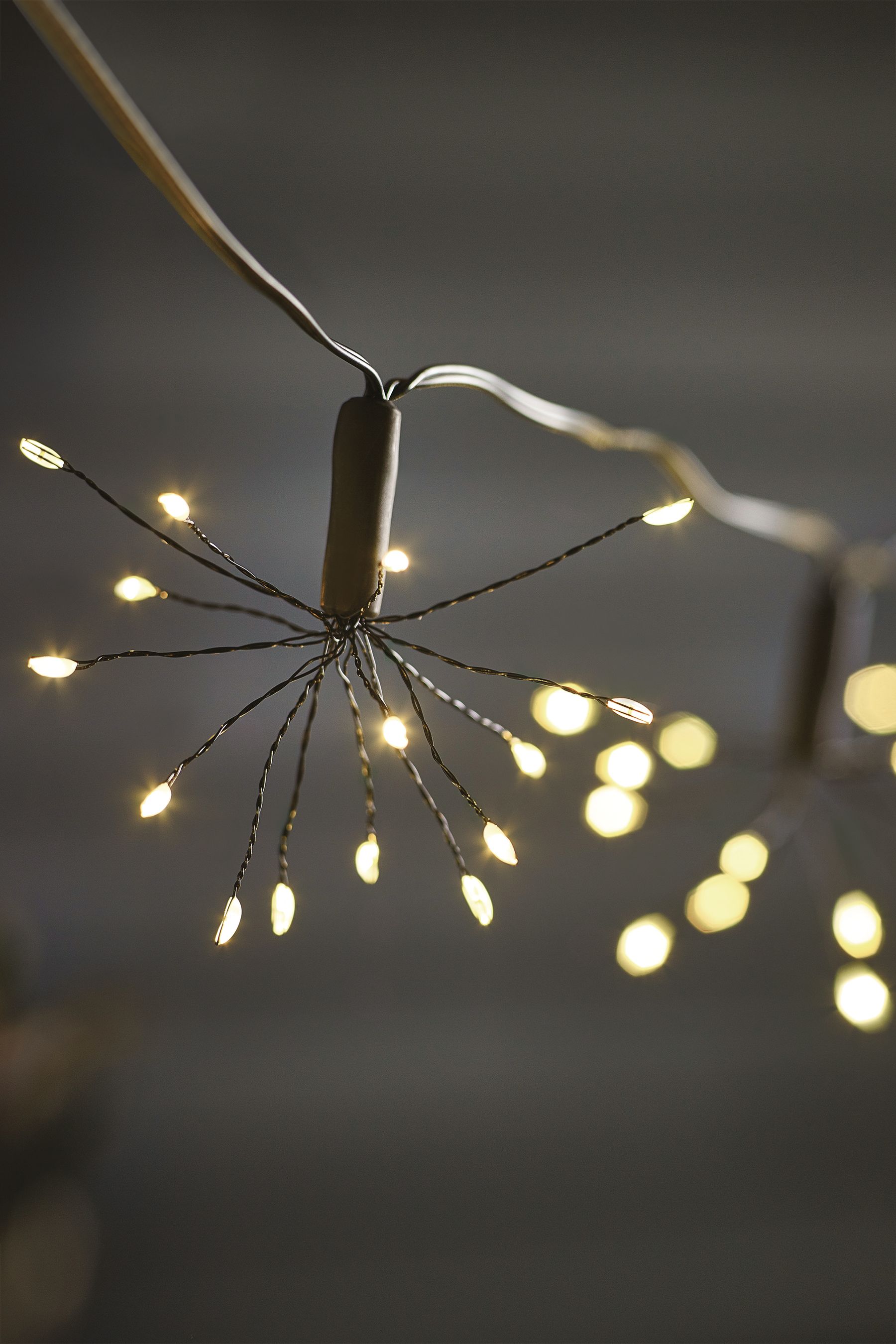 Buy Warm White 10 Warm White LED Dandelion Outdoor Fairy Lights 4.6m ...