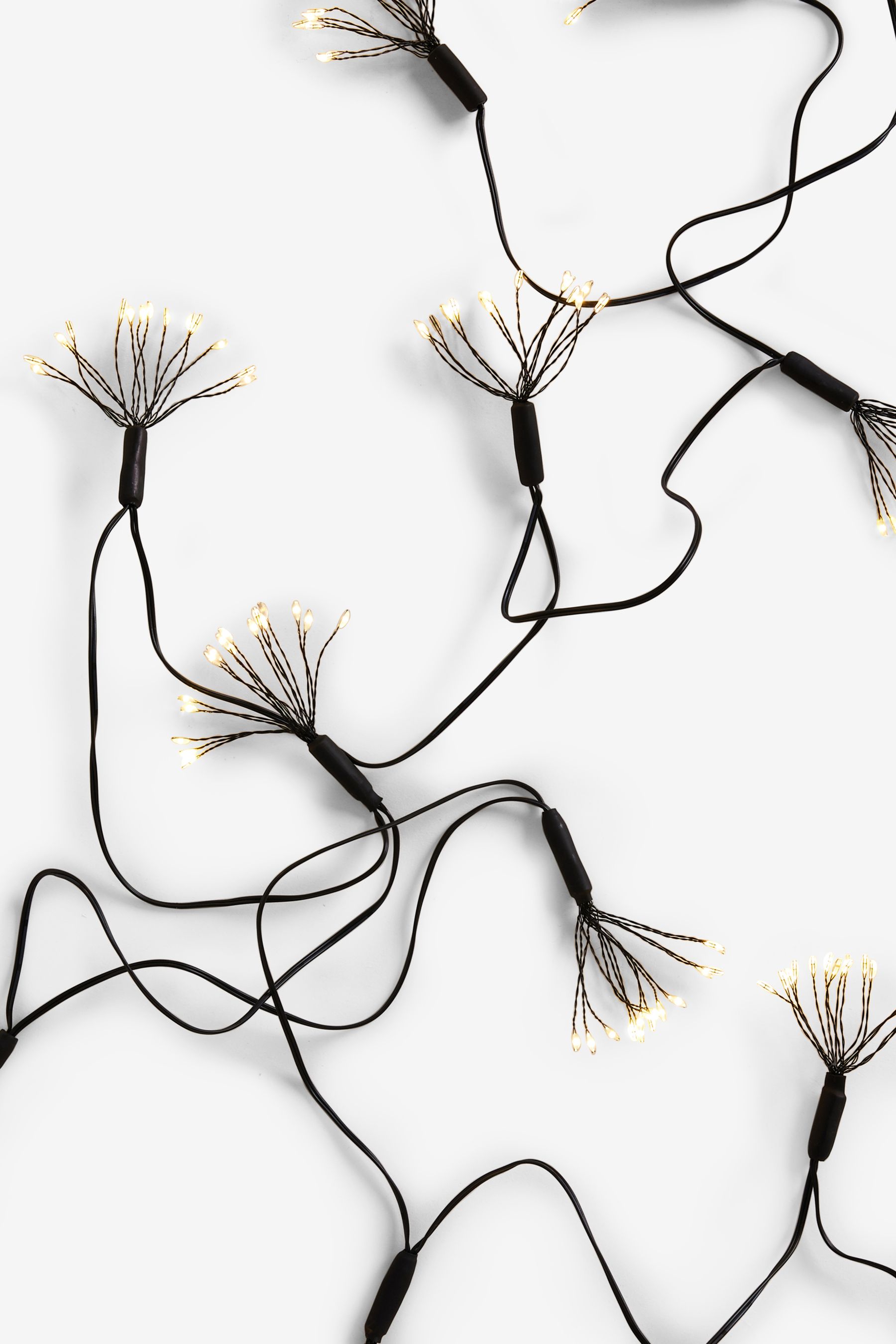 Buy Warm White 10 Warm White LED Dandelion Outdoor Fairy Lights 4.6m ...