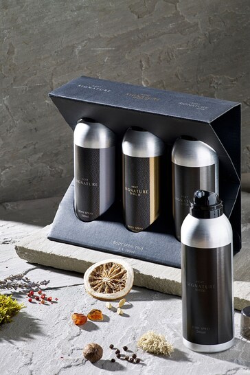 Buy Gift Set of 3 200ml Signature Fragranced Body Sprays from the Next ...