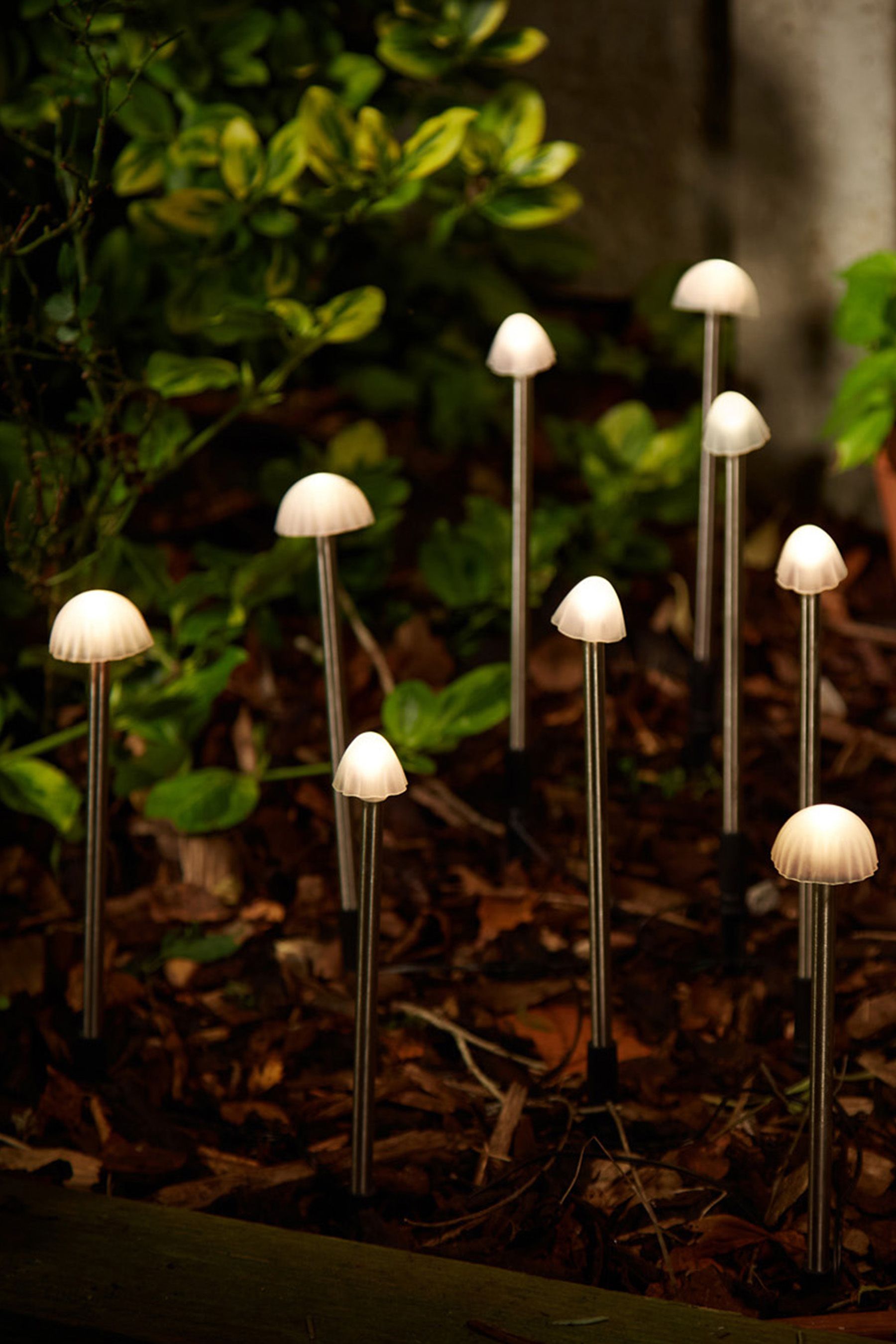 Buy SolarCentre Set of 12 Silver Elan Solar Mushroom Lights from the ...
