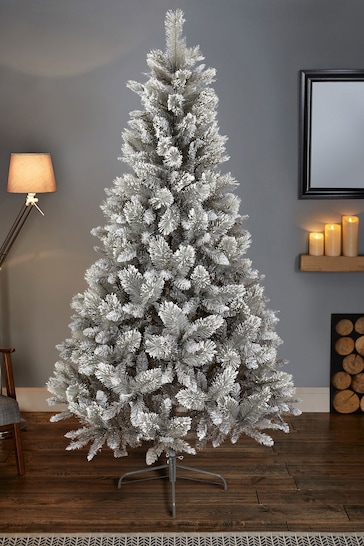Buy Premier Decorations Ltd 7ft Snow Tipped Fir Grey Christmas Tree ...