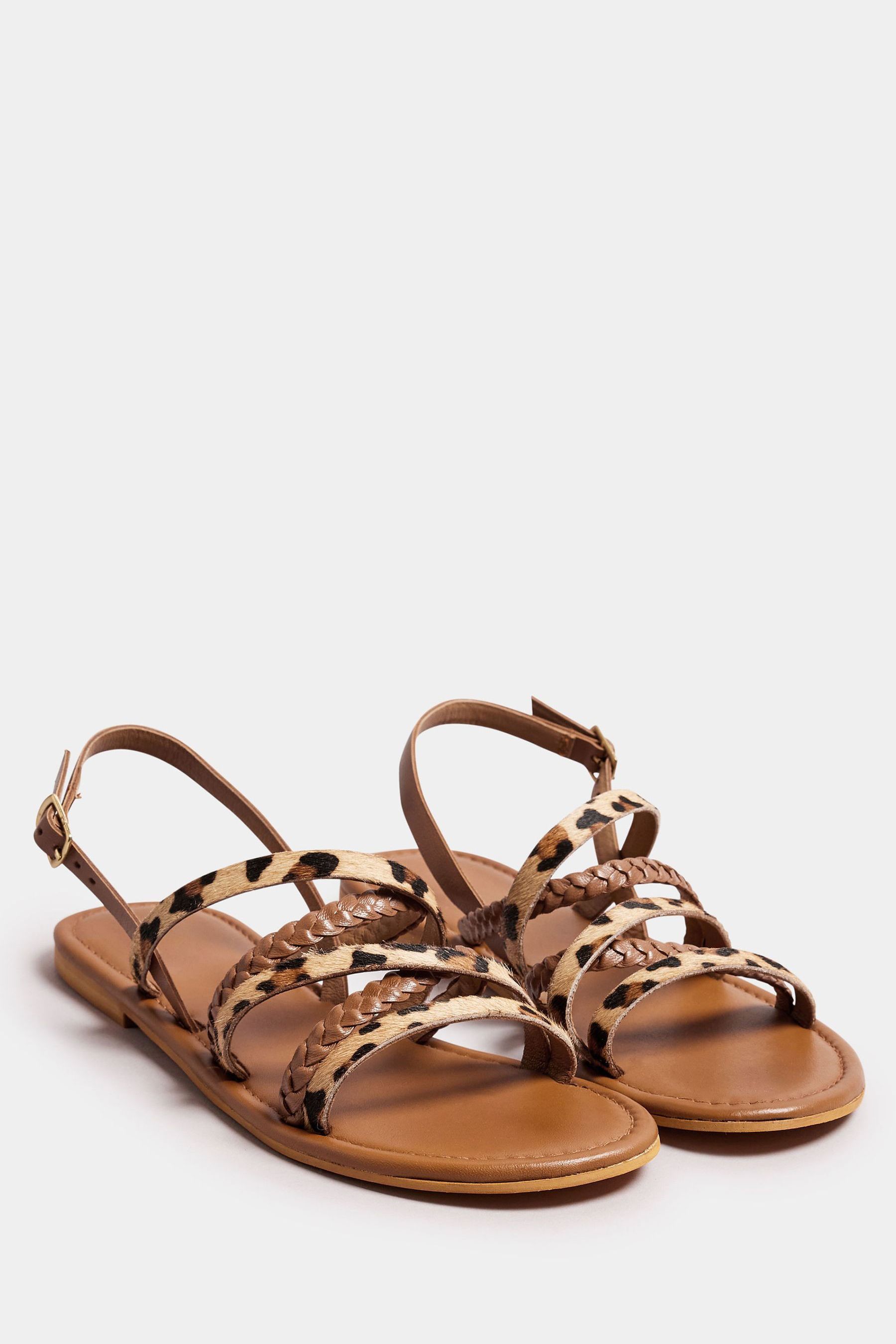 Buy Long Tall Sally Brown Animal Strap Cross Over Sandals from the Next ...