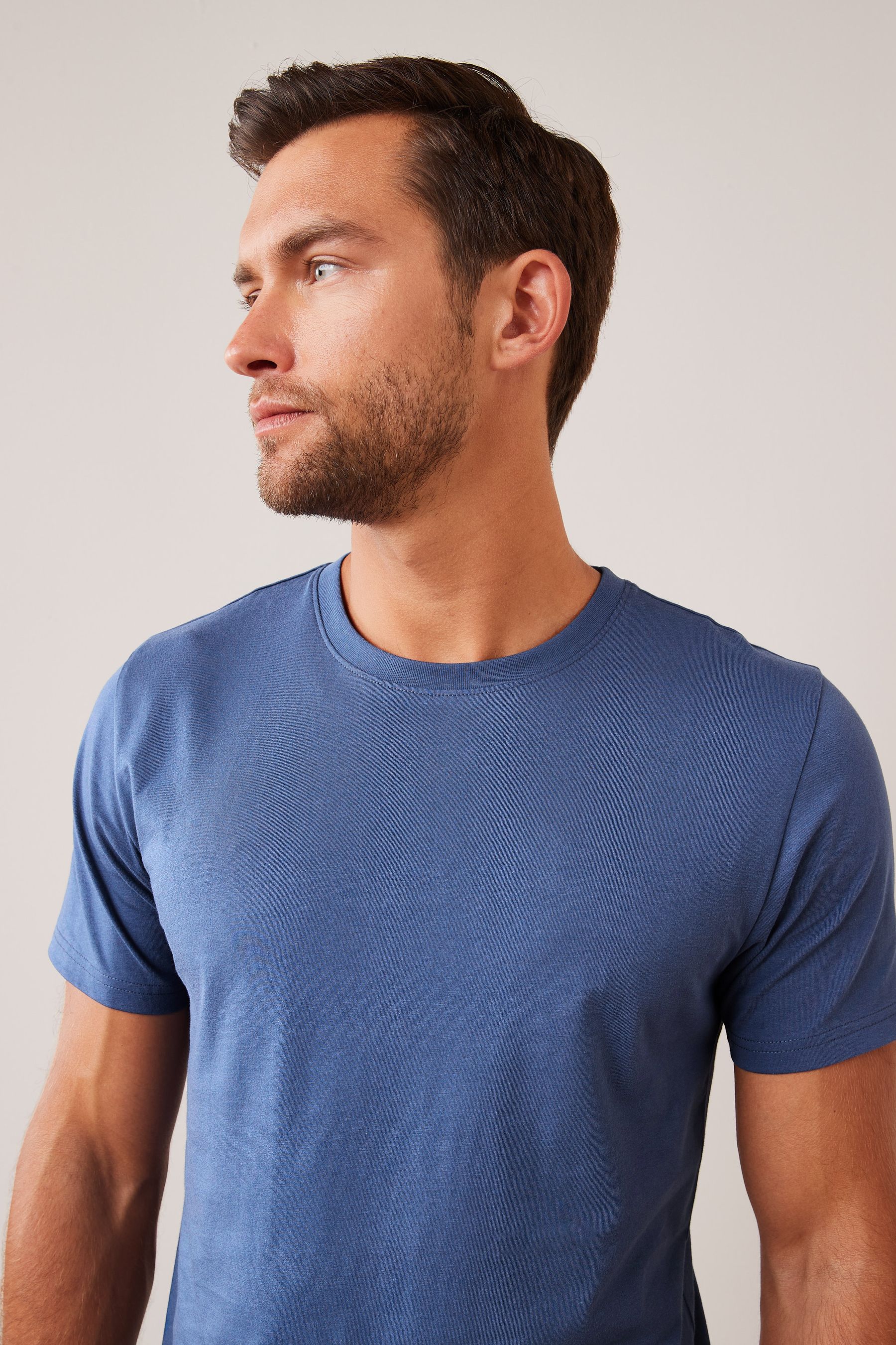 Buy Blue Denim Regular Fit Essential Crew Neck T-Shirt from Next Ireland